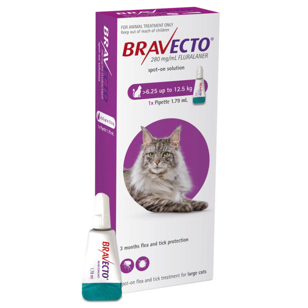 Bravecto for Cats | No Rx Flea & Tick Treatment | 3-Month Protection ...