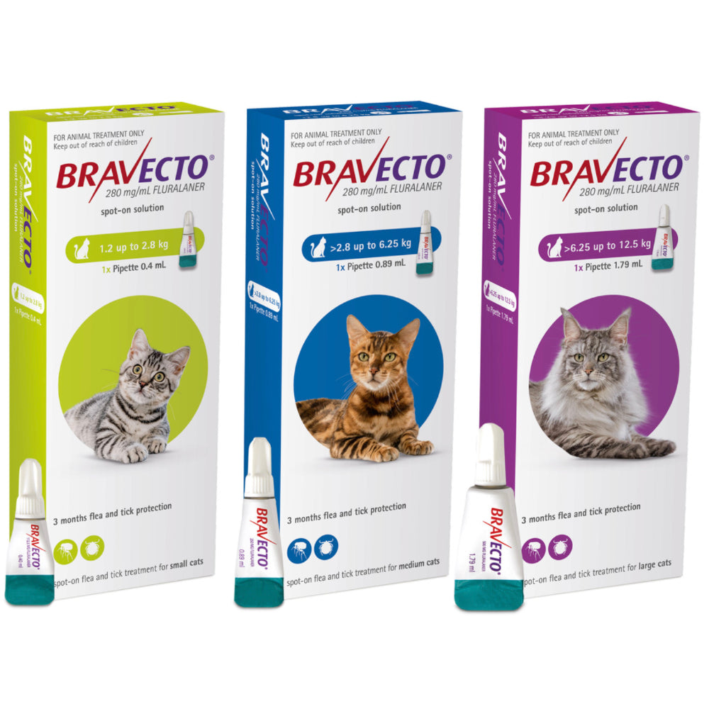 Bravecto for Cats | No Rx Flea & Tick Treatment | 3-Month Protection ...