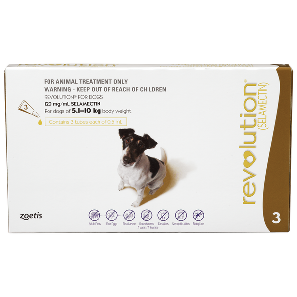 Buy Revolution for Dogs | Free Delivery | Hassle-Free Flea, Tick & Worm for Dogs - FleaTickWorm.com